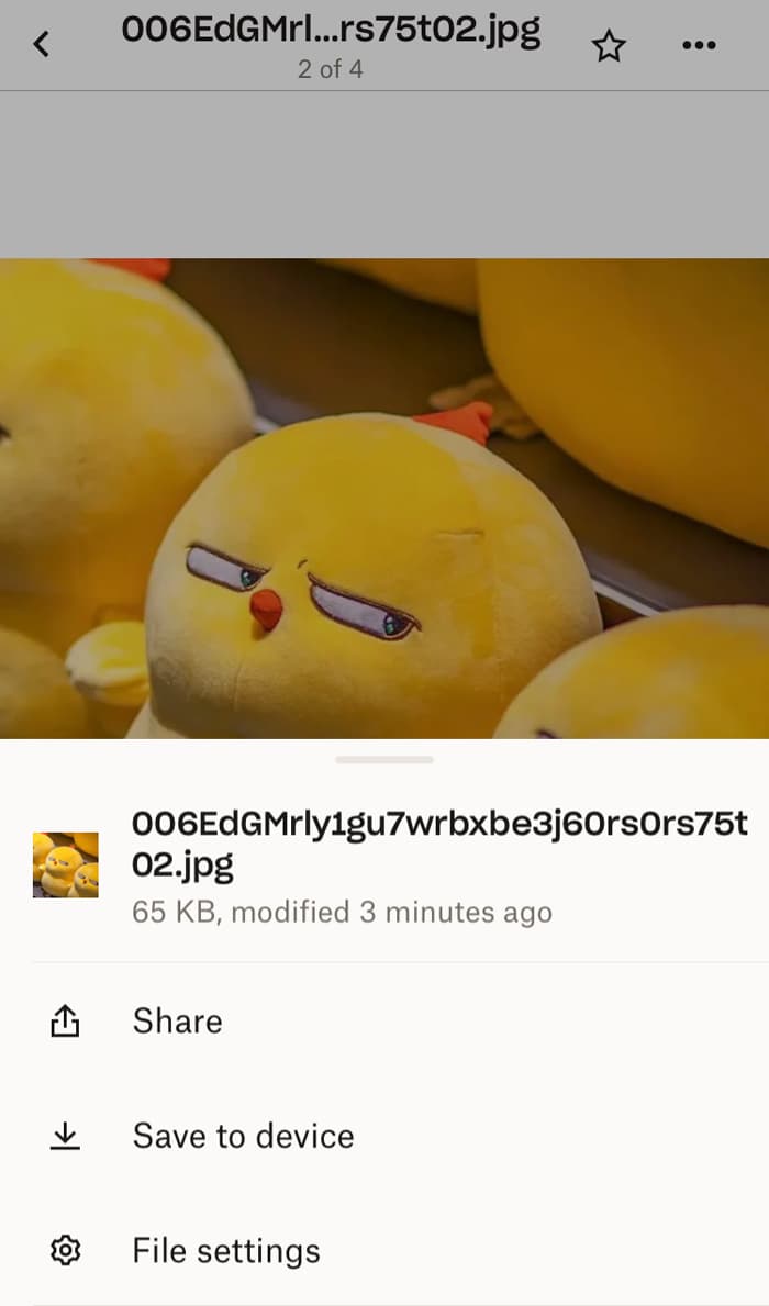 Dropbox App Wont Upload Photos to Pc - Seals Hourgen